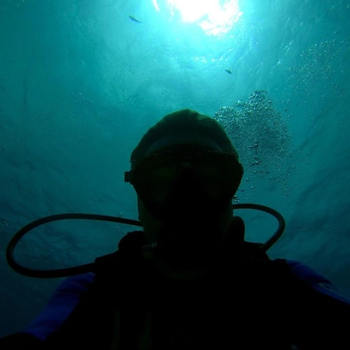 Tim Paine :: PyData London 2025 :: pretalx