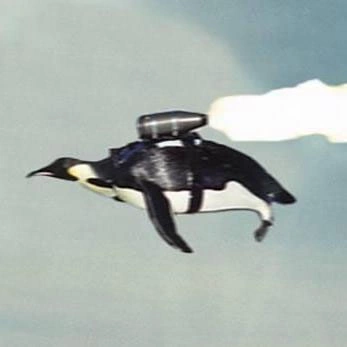 Kushal Kolar :: PyData Global 2025 :: pretalx